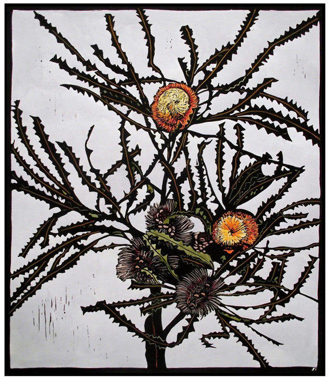 Shark Bay Banksia – Jude Taylor Studio